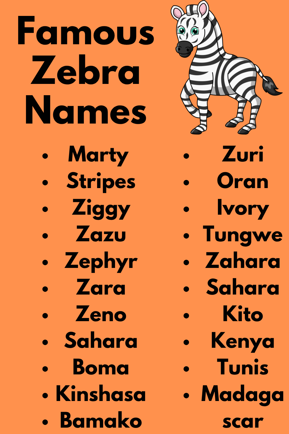239+ Cute & Funny Zebra Names For Your Striped Pet 2025