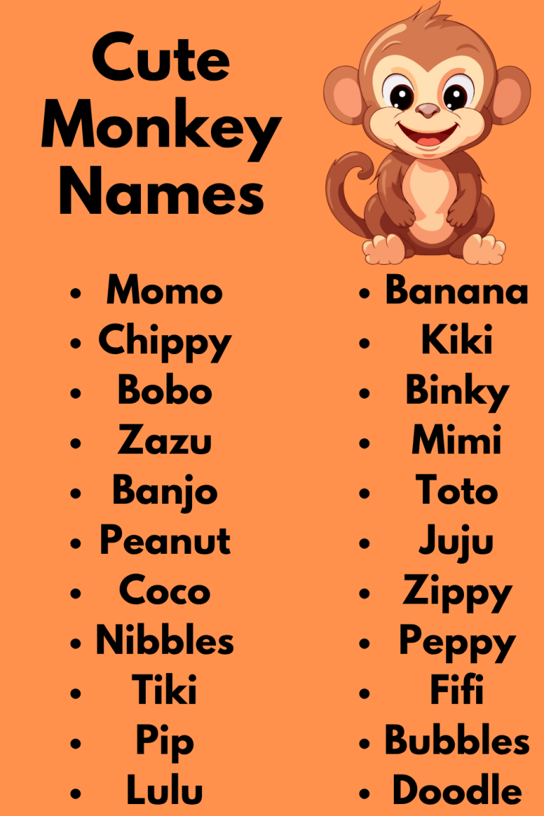 240 Best Monkey Names For Your Pet | Cute & Funny Ideas