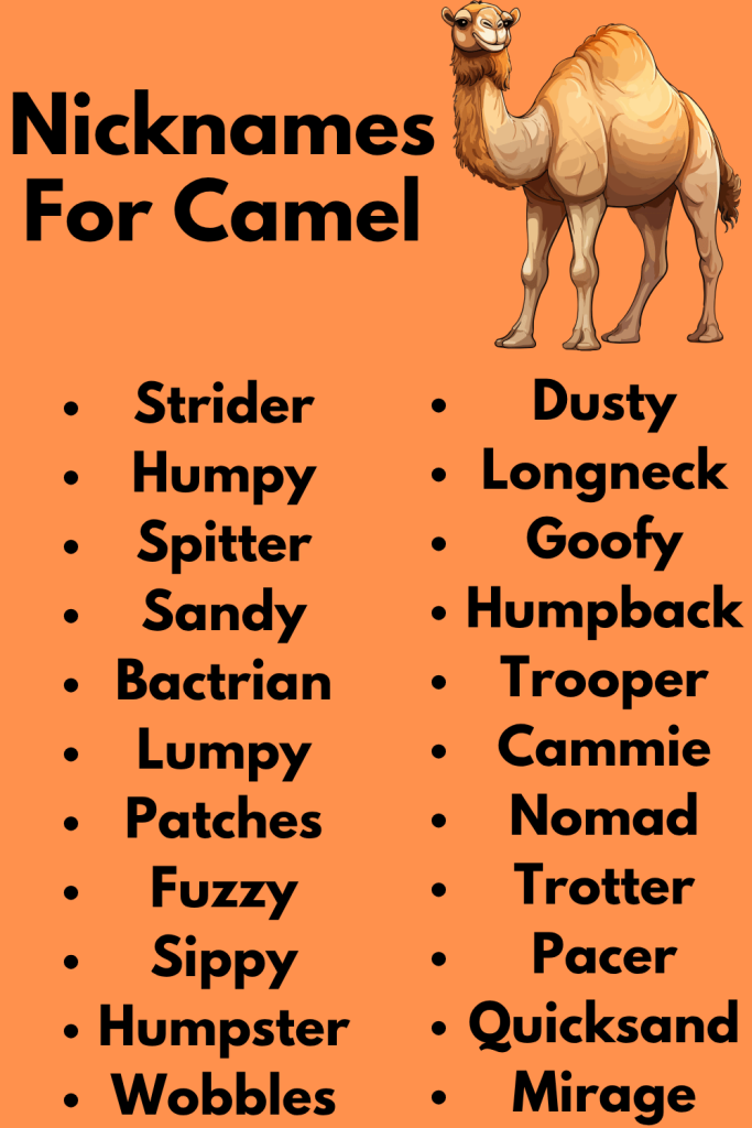 240+ Cute & Catchy Camel Names For The King Desert