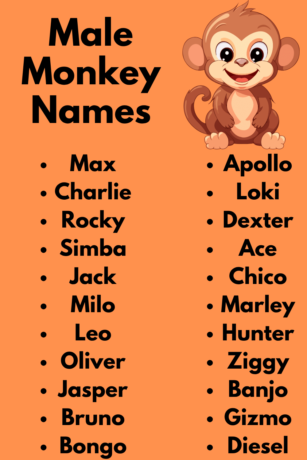 240 Best Monkey Names For Your Pet | Cute & Funny Ideas