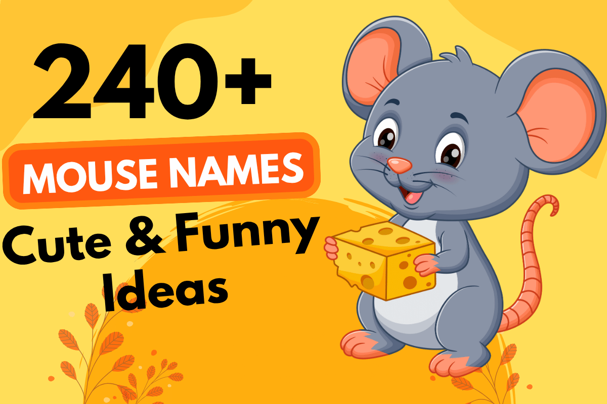 240+ Cute & Funny Mouse Names For Your Tiny Buddy