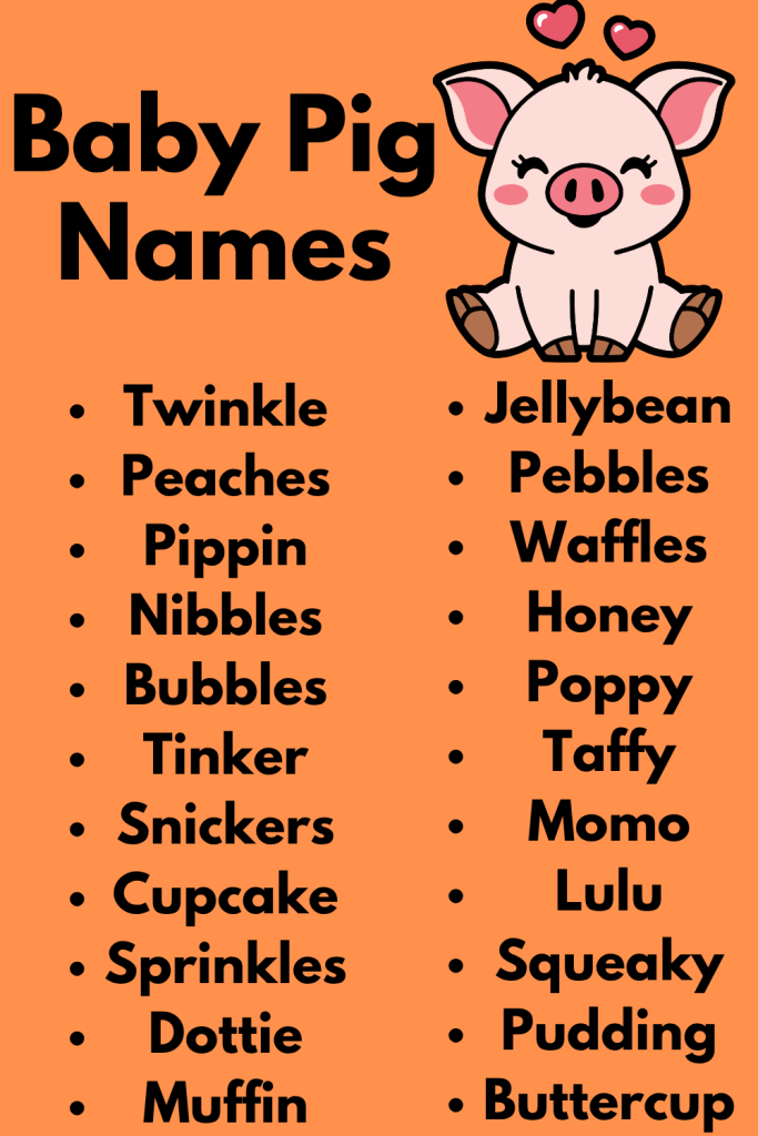 270+ Cute & Funny Pig Names For Your Pet 2025