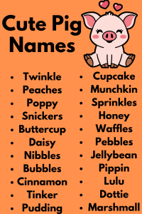 270+ Cute & Funny Pig Names For Your Pet 2025