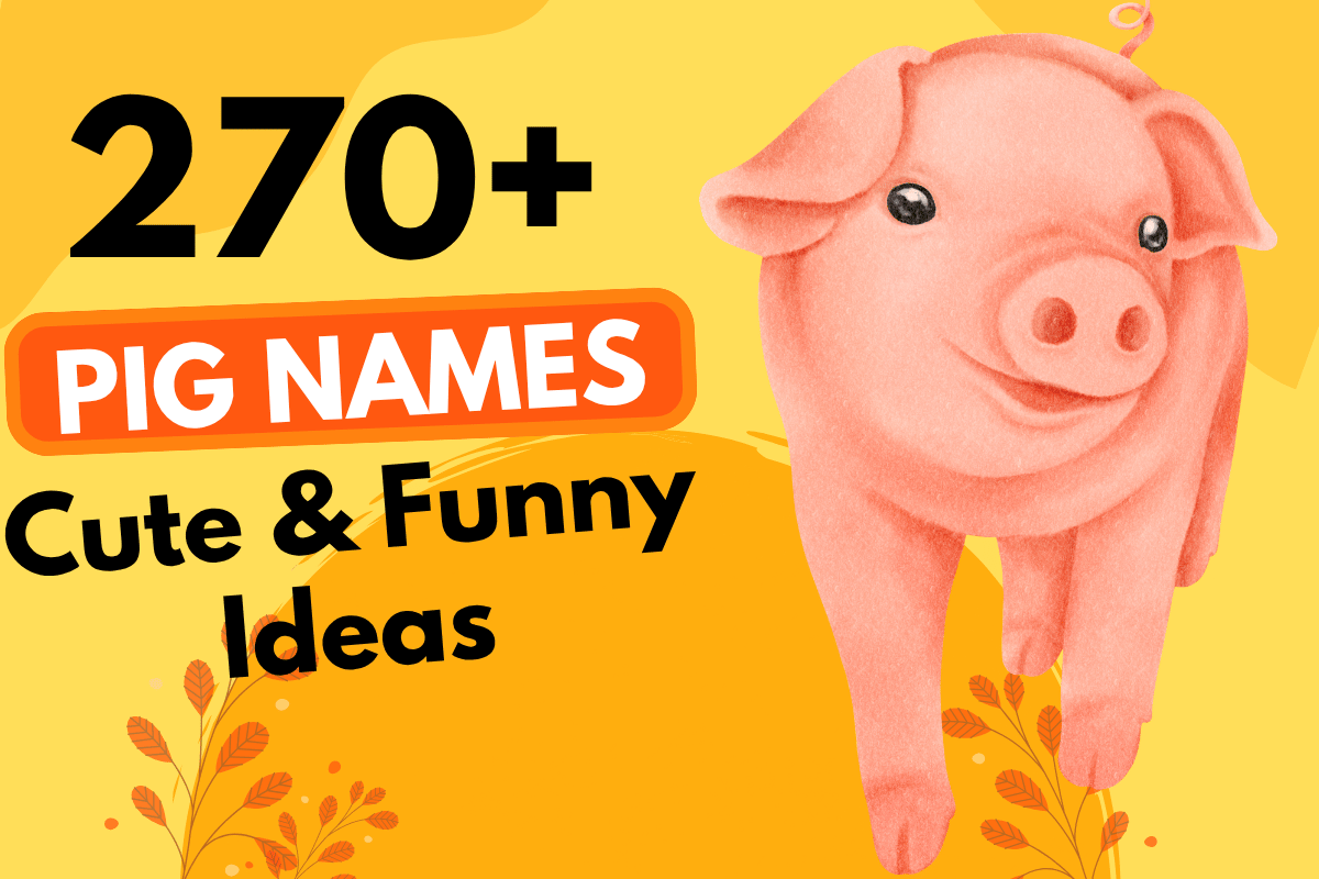 270+ Cute & Funny Pig Names For Your Pet 2025
