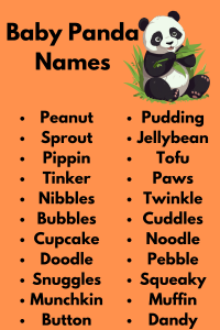 200+ Cute & Funny Panda Names For Your Adorable Bear