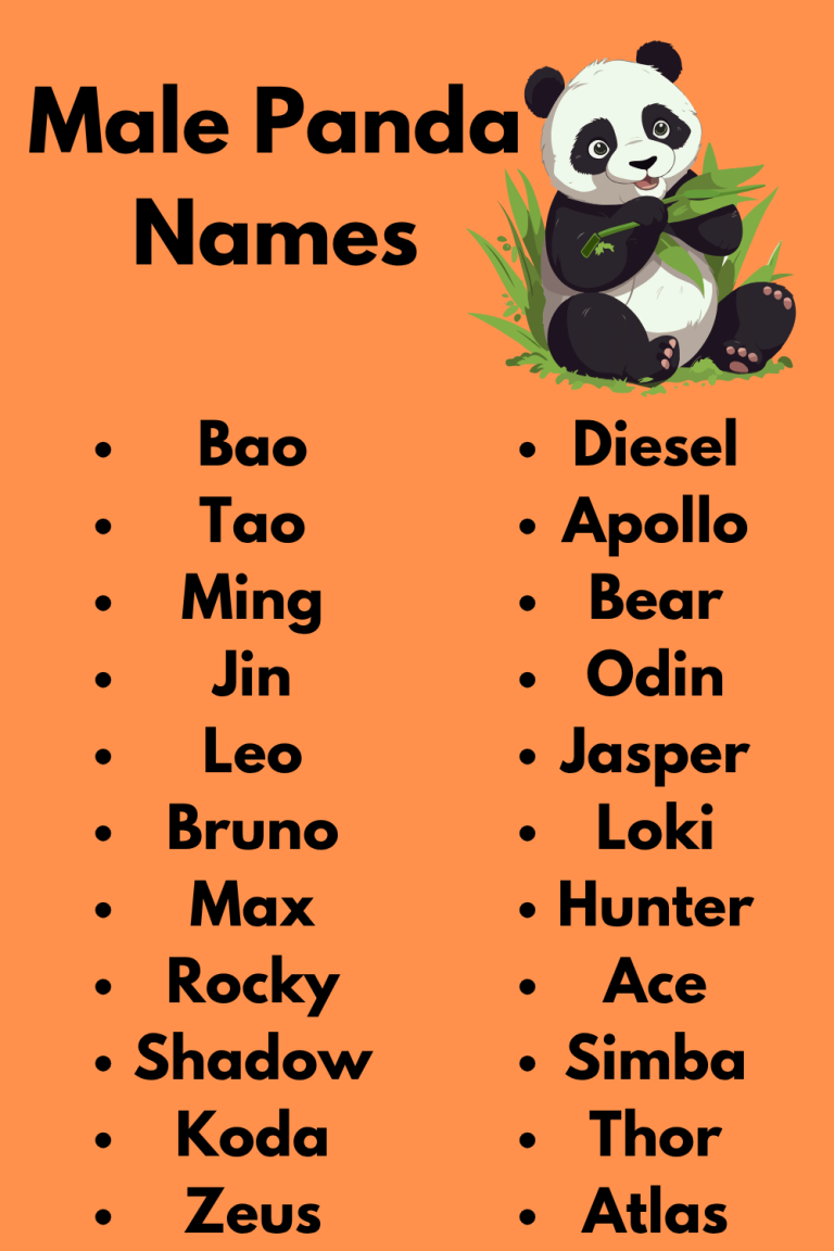 200+ Cute & Funny Panda Names For Your Adorable Bear