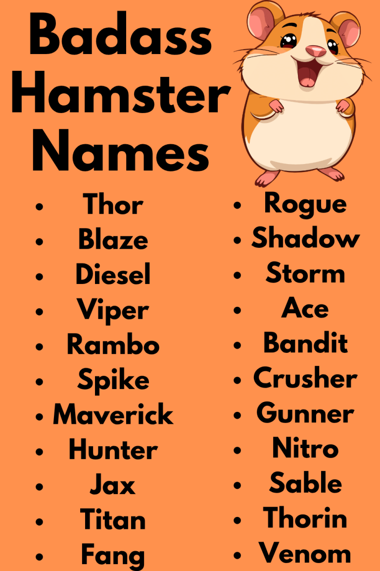 210+ Cute & Catchy Hamster Names For Your New Pet