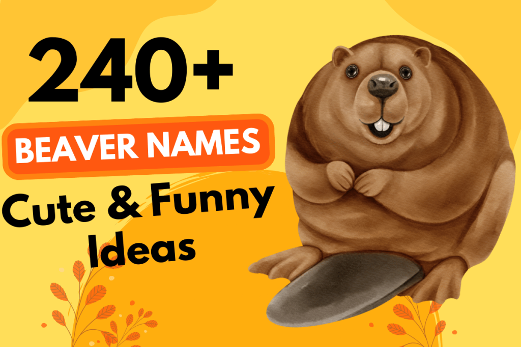240+ Cute & Catchy Beaver Names For Your New Buddy