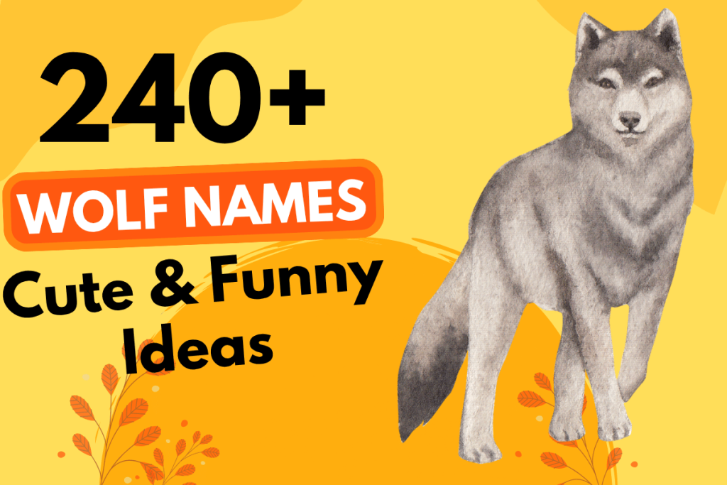 240+ Cute & Funny Wolf Names For Your Badass Pet