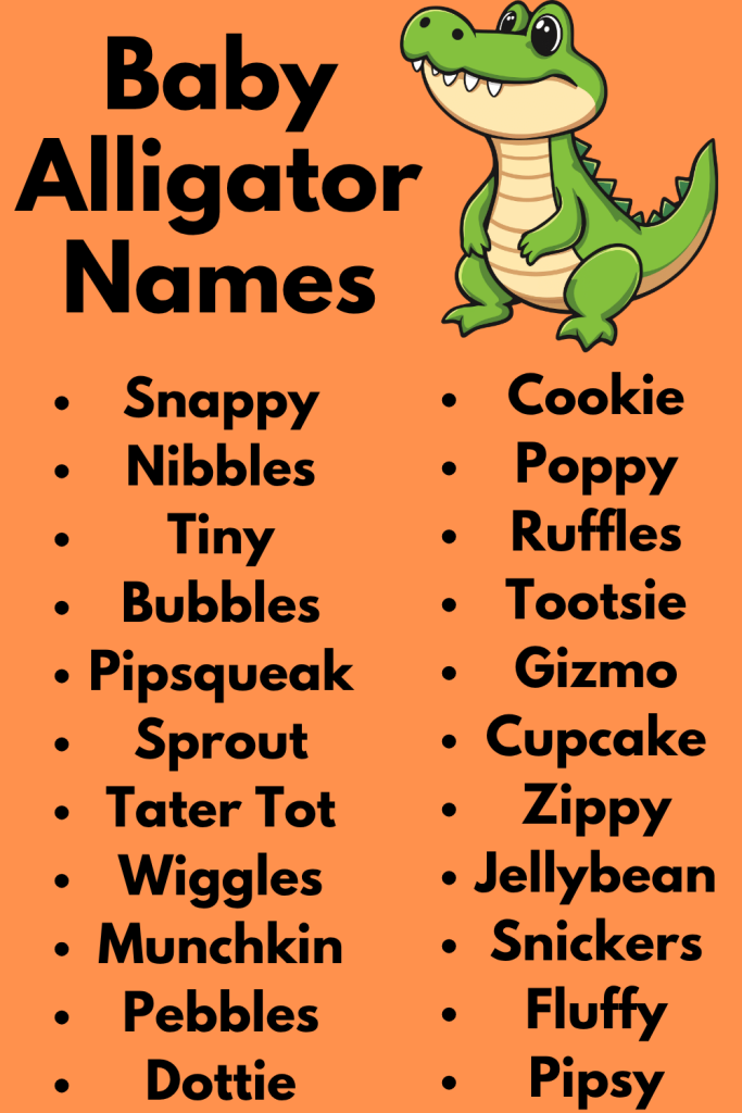270+ Cute & Funny Alligator Names For Your Reptile Buddy