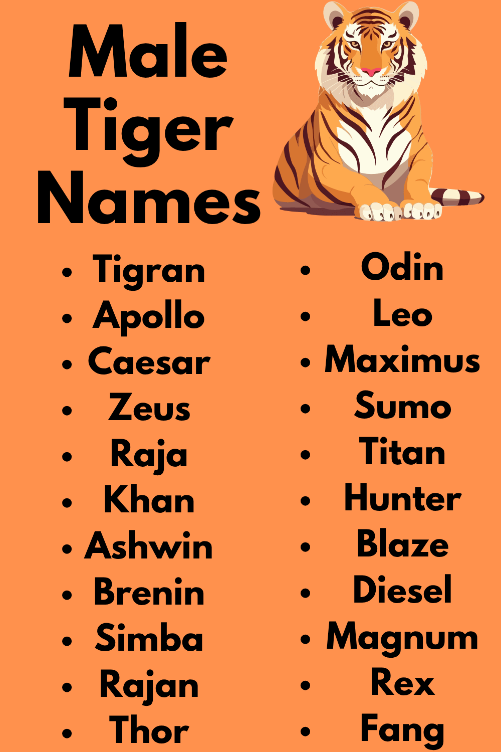 270+ Strong & Funny Tiger Names For Your Badass Pet