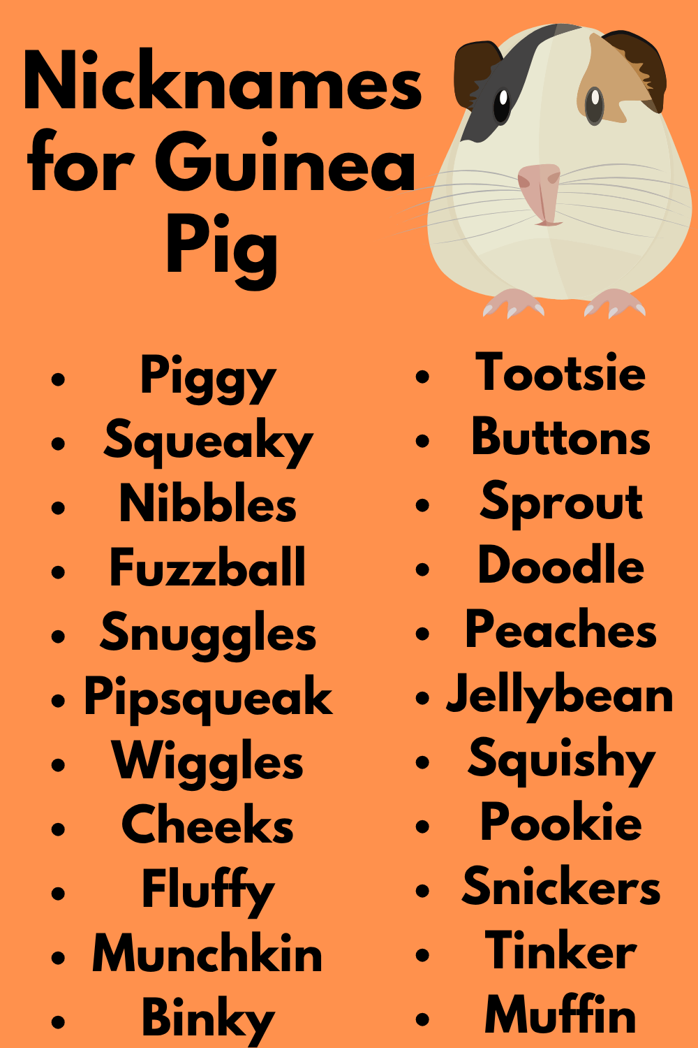 270+ Cute & Funny Guinea Pig Names For Your Little Friend