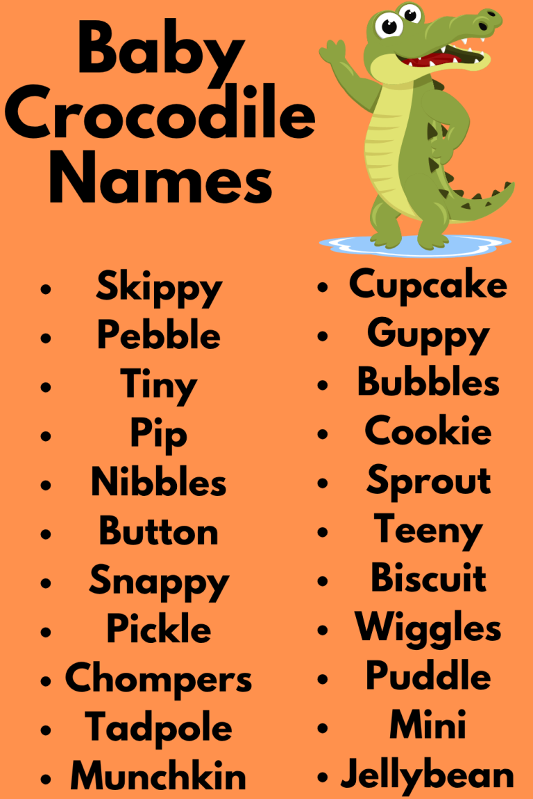 210+ Cute & Funny Crocodile Names For Your Reptile Buddy