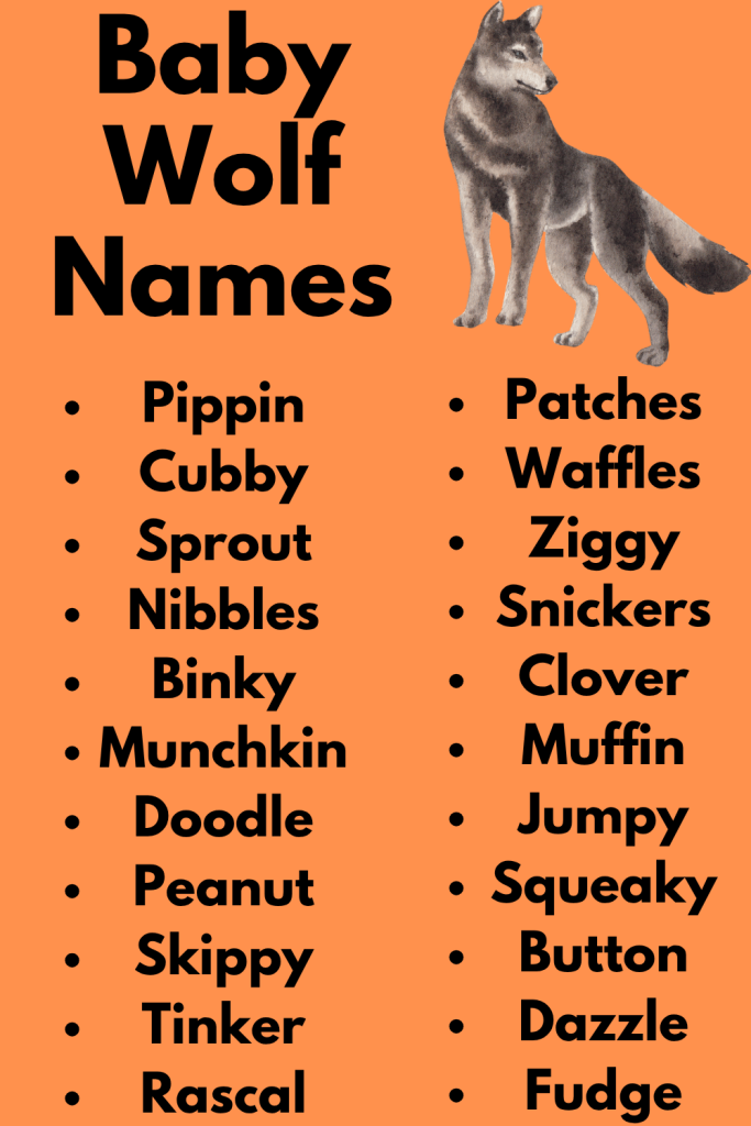 240+ Cute & Funny Wolf Names For Your Badass Pet