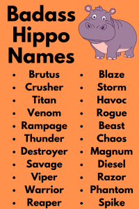 240+ Hippo Names For Your Pet - Cute, Funny & Strong Ideas