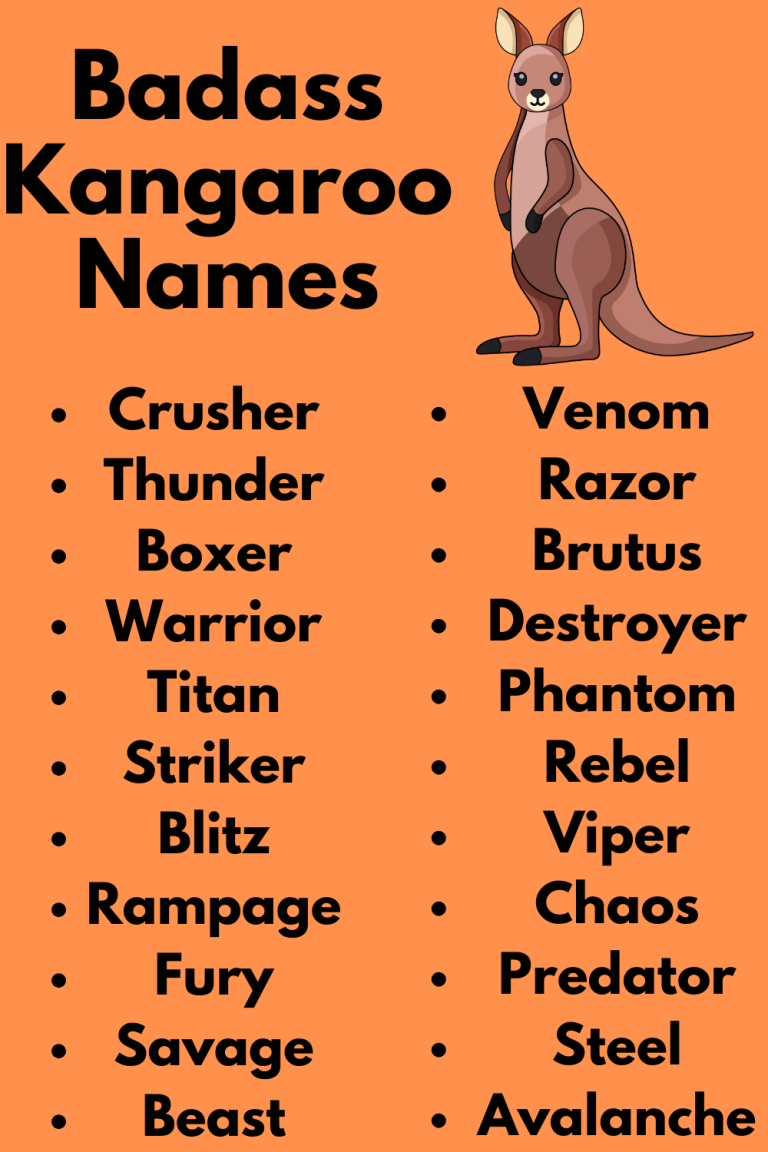 240+ Cute & Catchy Kangaroo Names For Your bouncing buddy