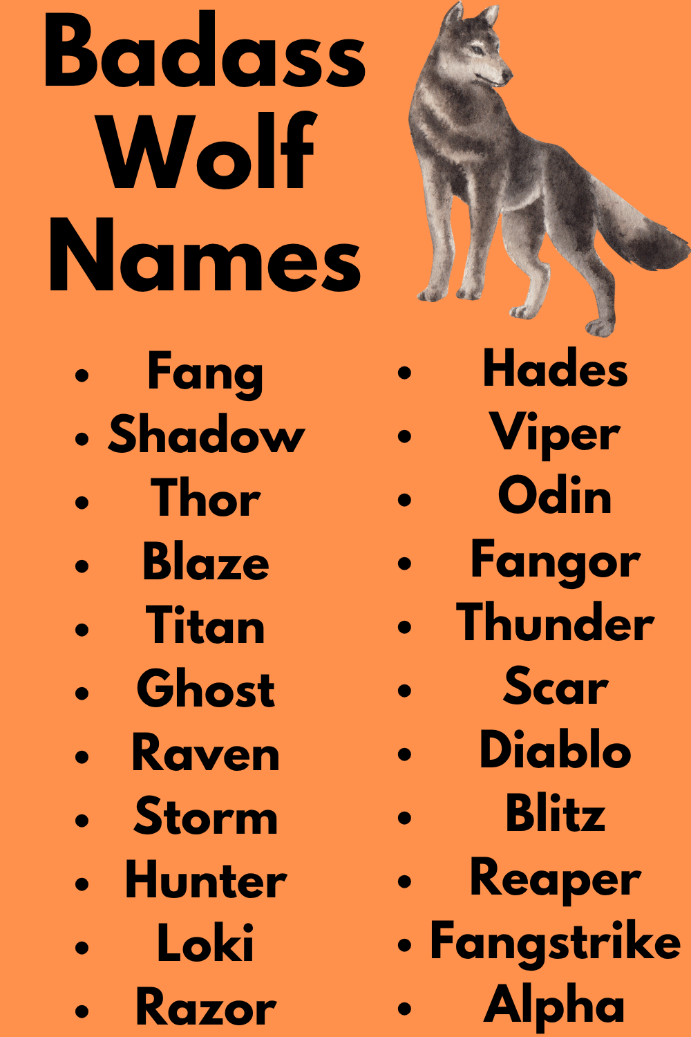240+ Cute & Funny Wolf Names For Your Badass Pet
