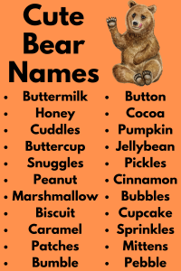 270+ Cute & Funny Bear Names For Your Badass Pet