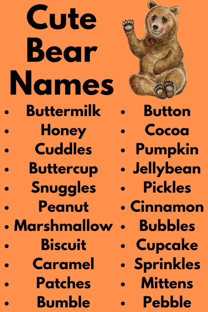 270+ Cute & Funny Bear Names For Your Badass Pet
