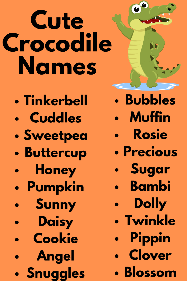 210+ Cute & Funny Crocodile Names For Your Reptile Buddy