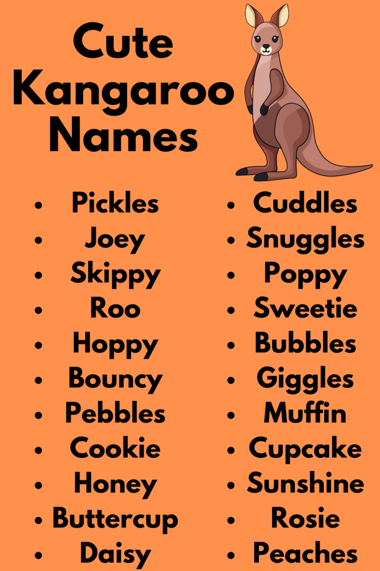 240+ Cute & Catchy Kangaroo Names For Your bouncing buddy