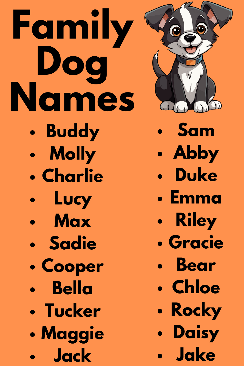240+ Cute & Funny Dog Names For Your Four-legged Buddy