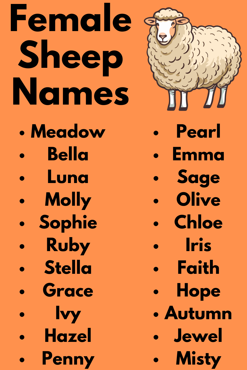 240+ Cute & Funny Sheep Names For Your Beloved Buddy