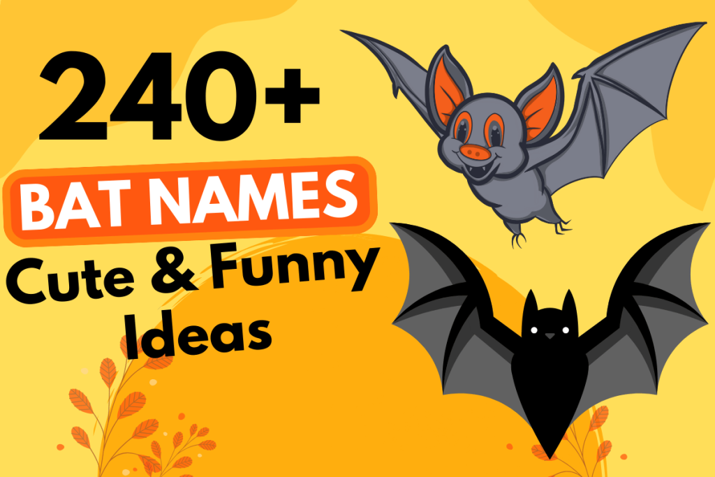 240+ Cute And Funny Bat Names For Your Winged Buddy - Names Plop