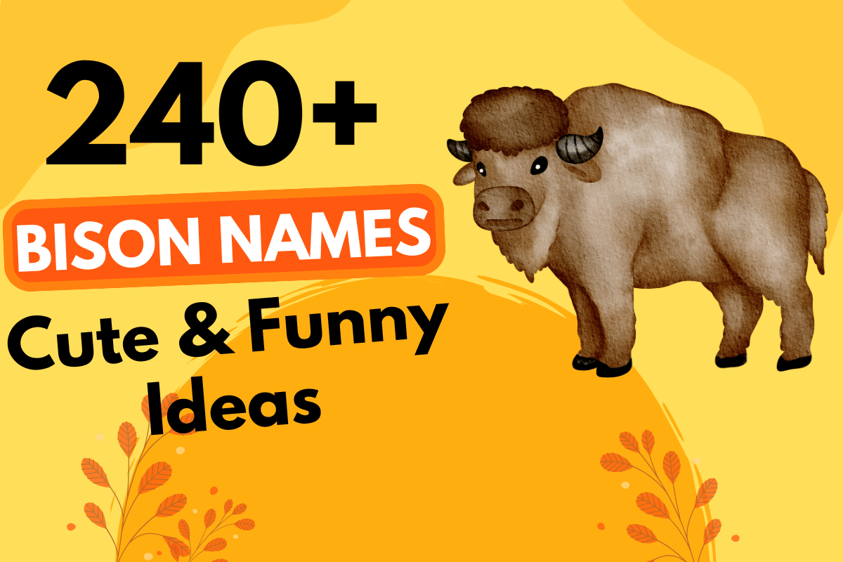 240+ Cool & Badass Bison Names For Your Strong Pet