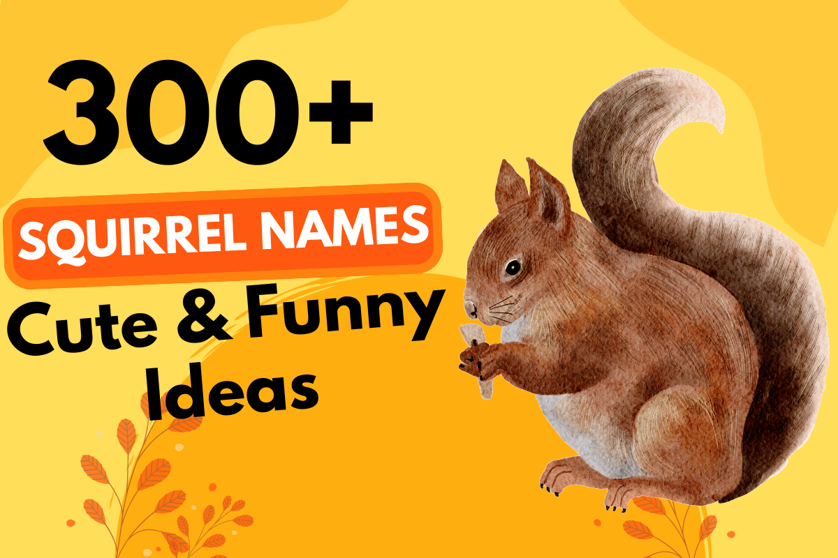 300+ Cute & Funny Squirrel Names For Your Furry Friend