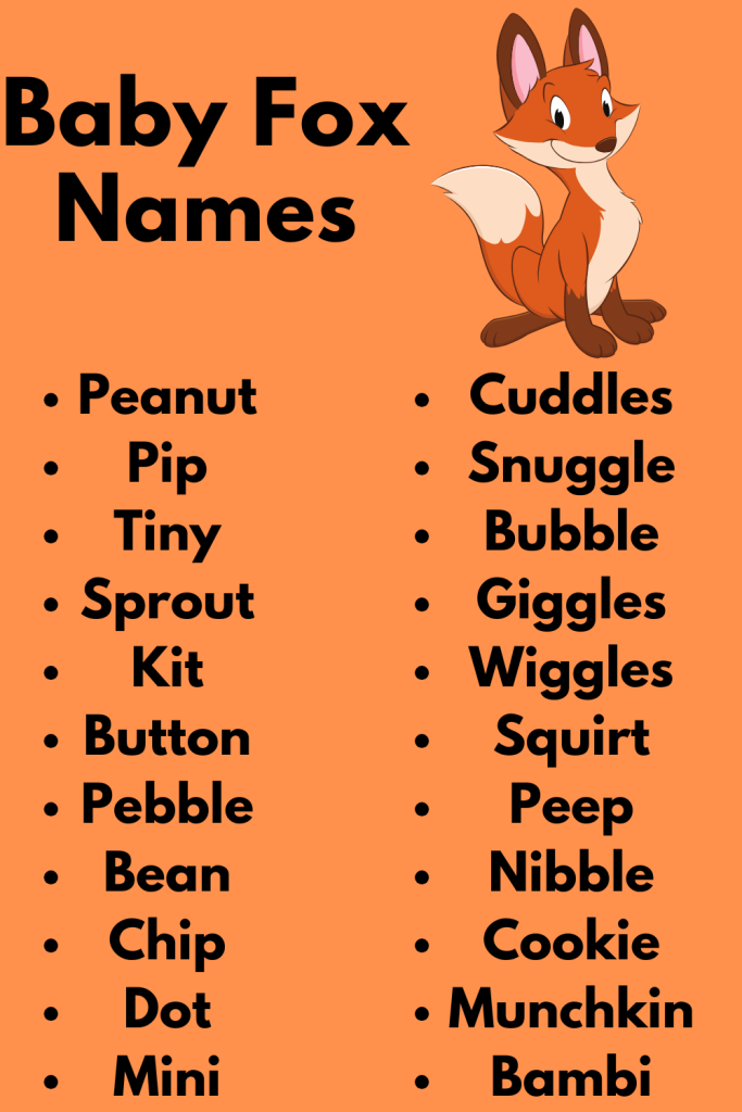 330+ Cute & Funny Fox Names For Your Clever Pet 2025