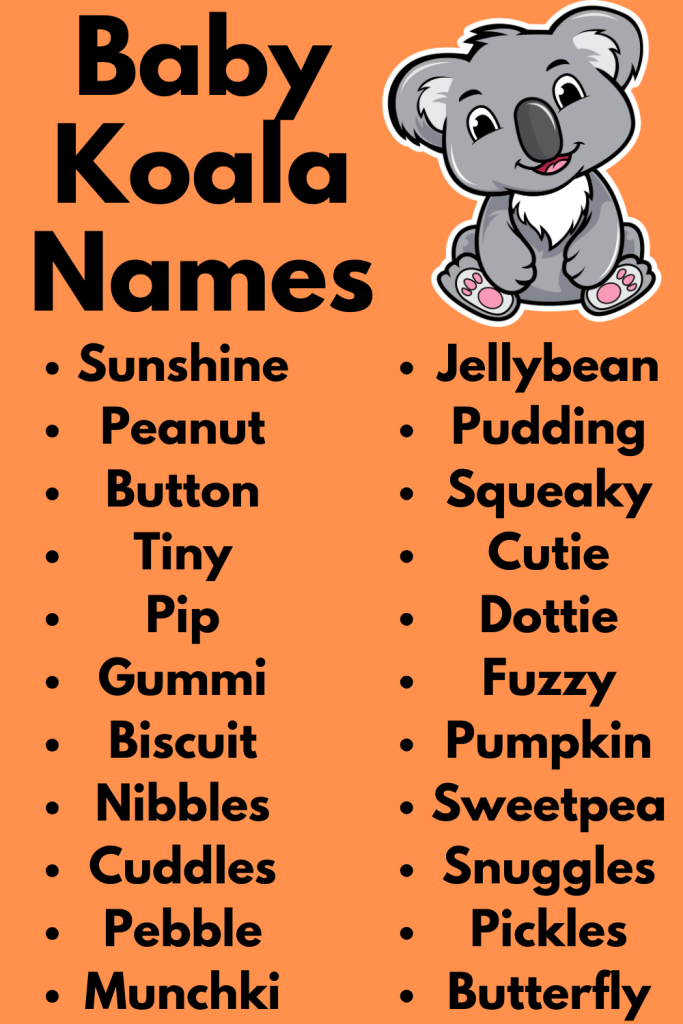 270+ Cute & Funny Koala Names For Your Adorable Buddy