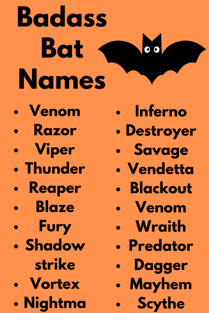 240+ Cute And Funny Bat Names For Your Winged Buddy - Names Plop