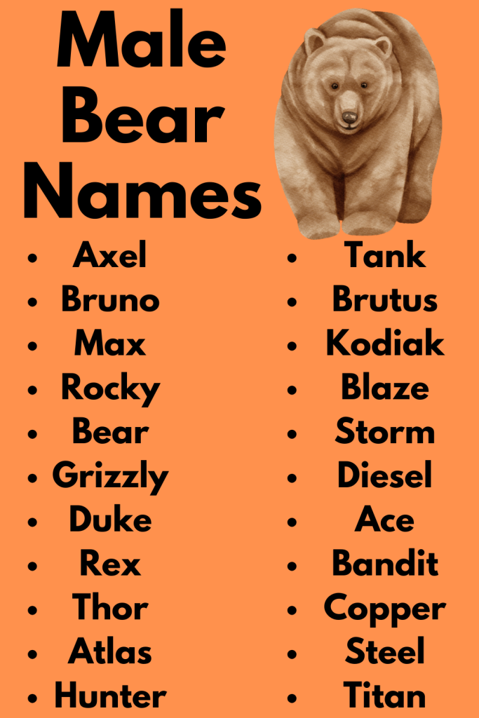 270+ Cute & Funny Bear Names For Your Badass Pet