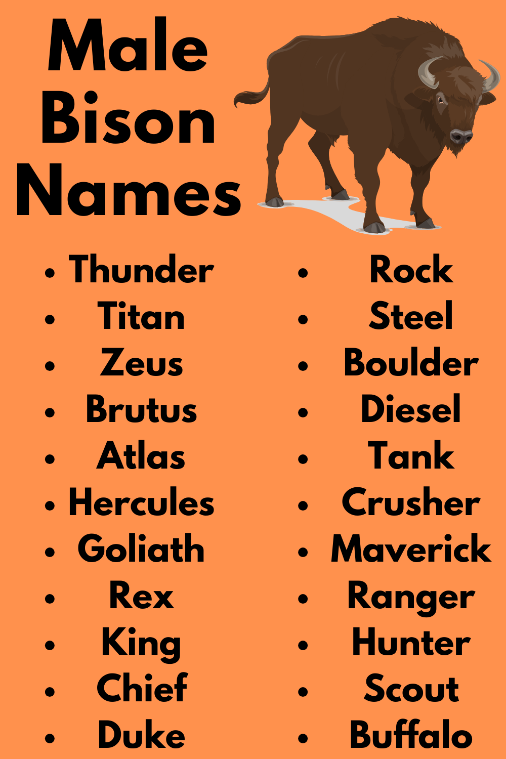 240+ Cool & Badass Bison Names For Your Strong Pet