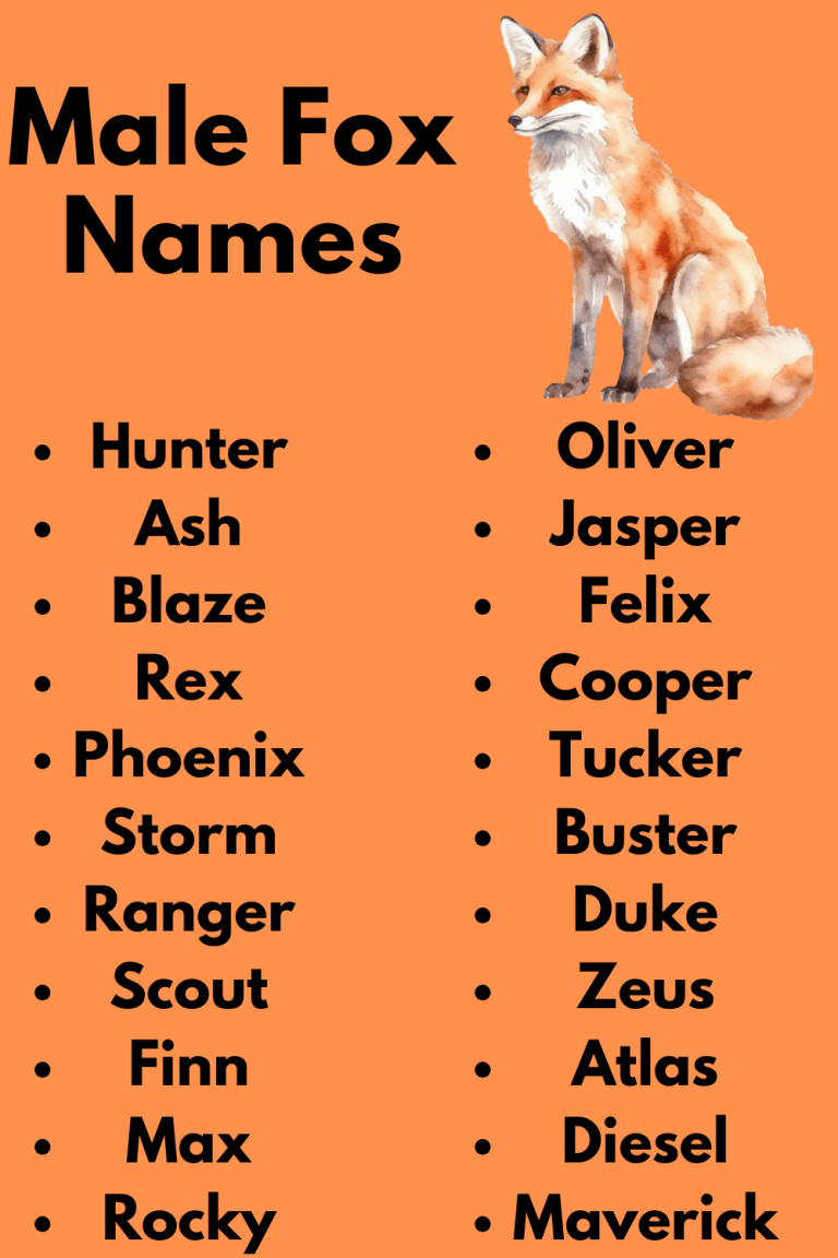 330+ Cute & Funny Fox Names For Your Clever Pet 2025