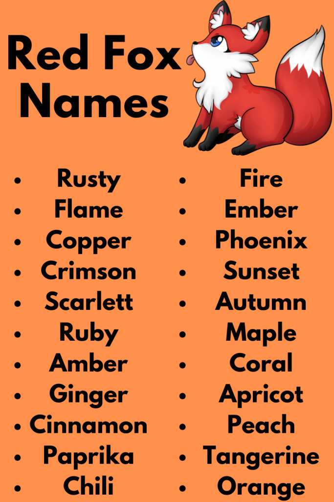 330+ Cute & Funny Fox Names For Your Clever Pet 2025