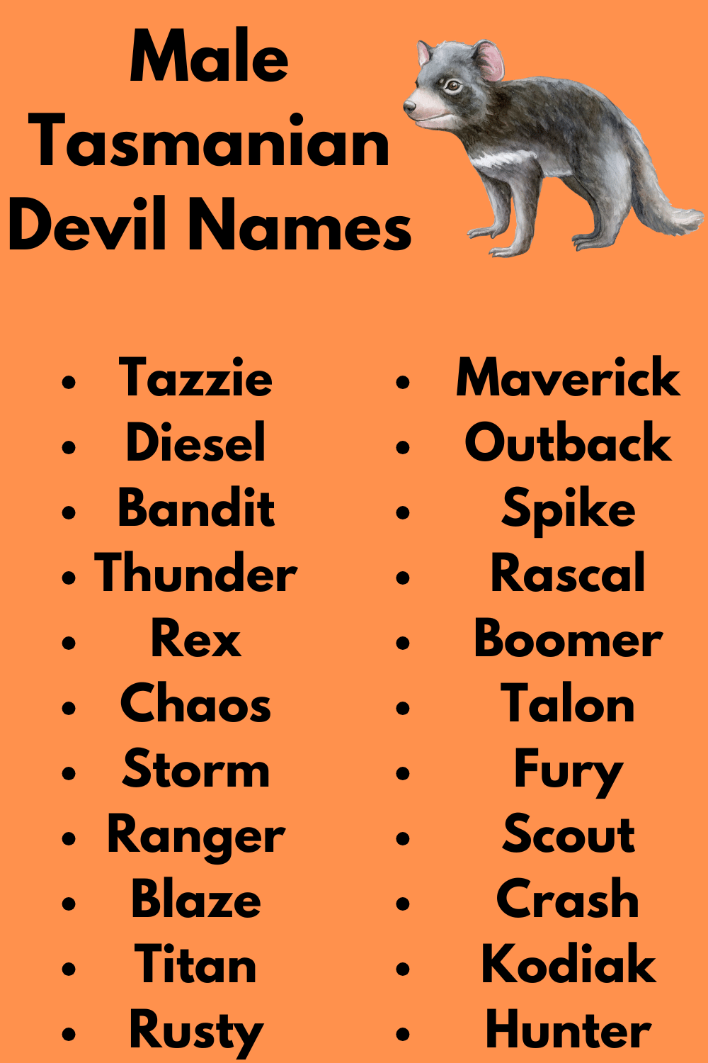 300+ Cool & Badass Tasmanian Devil Names For Unique Pet