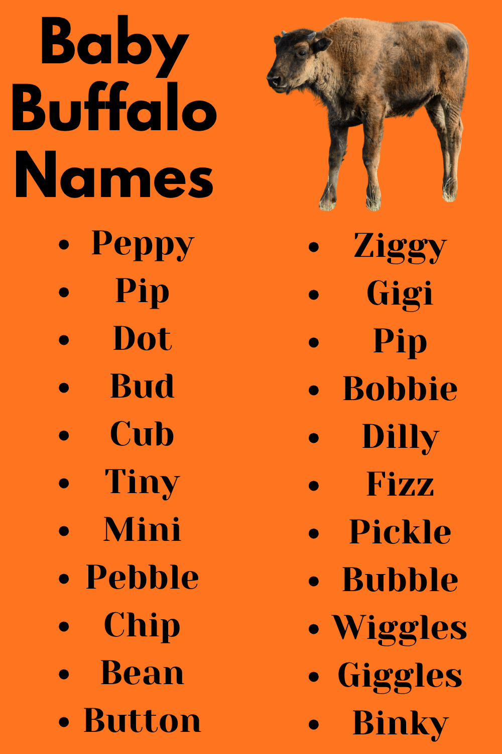 240+ Cool & Badass Buffalo Names For Your Strong Buddy