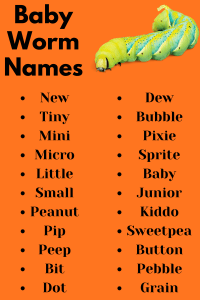 240+ Cute & Catchy Worm Names For Your Tiny Pet