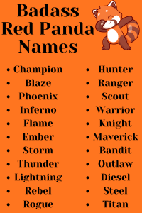 270+ Cute & Catchy Red Panda Names For Your Unique Pet