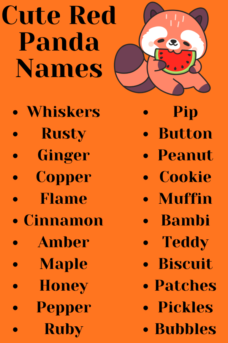 270+ Cute & Catchy Red Panda Names For Your Unique Pet