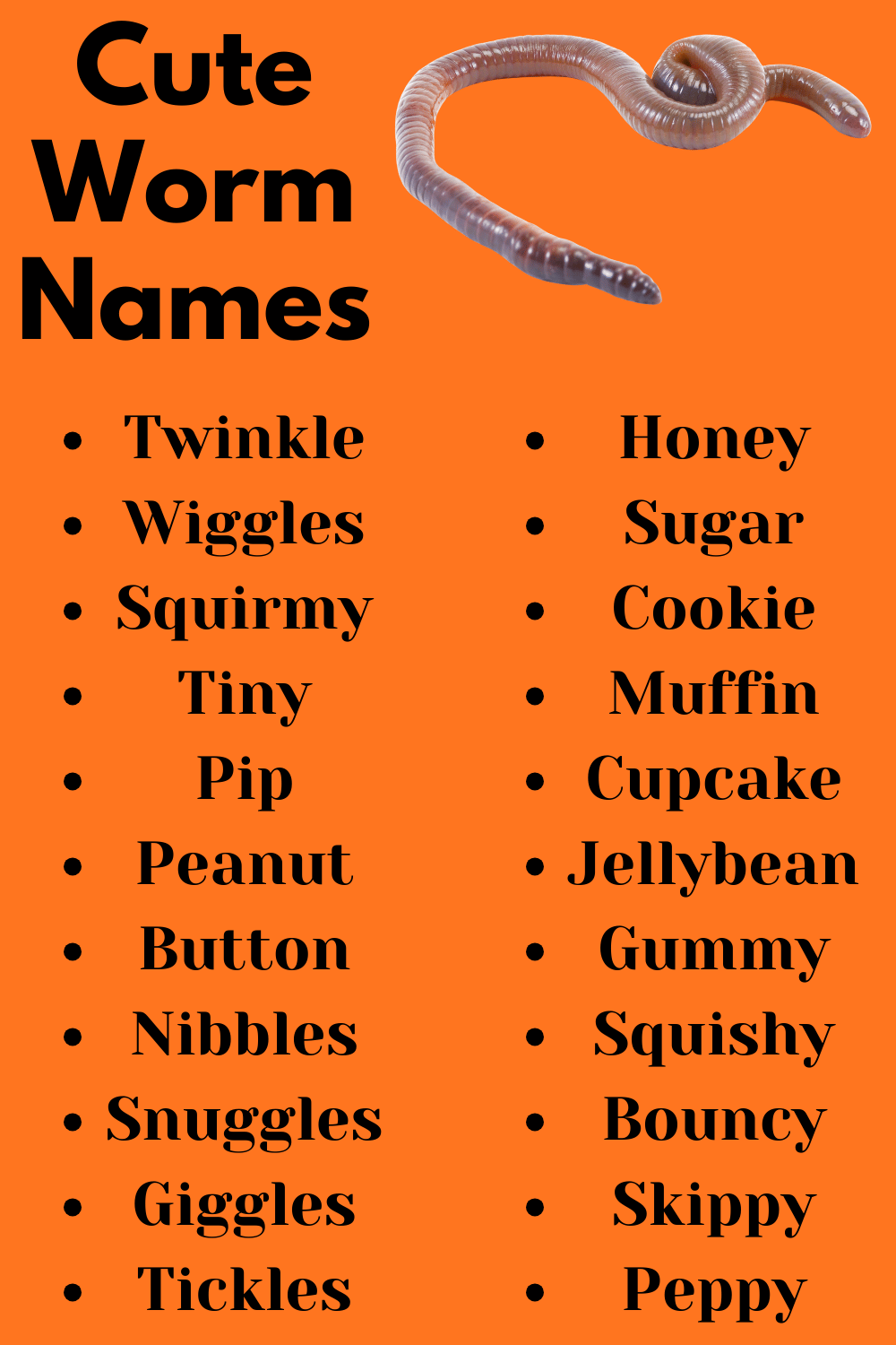 240+ Cute & Catchy Worm Names For Your Tiny Pet