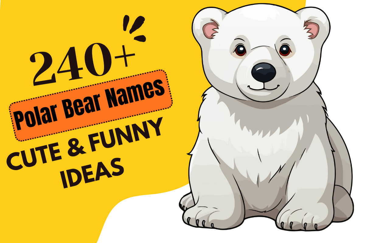 240+ Cute & Catchy Polar Bear Names For Your Arctic Companion