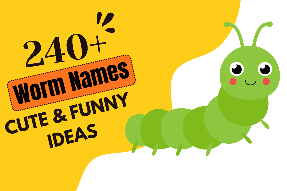 240+ Cute & Catchy Worm Names For Your Tiny Pet